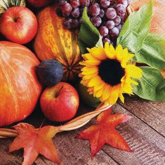 Assorted 20-Pack Lunch Napkins (11 Styles) – Cashmere & Cobwebs